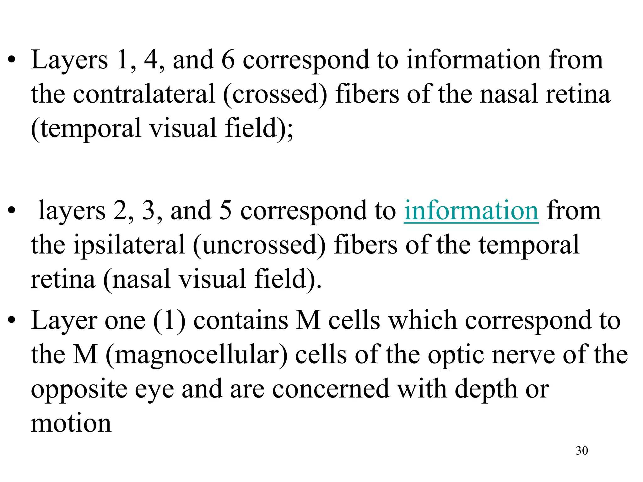 2. vision pathway 1 | PPT