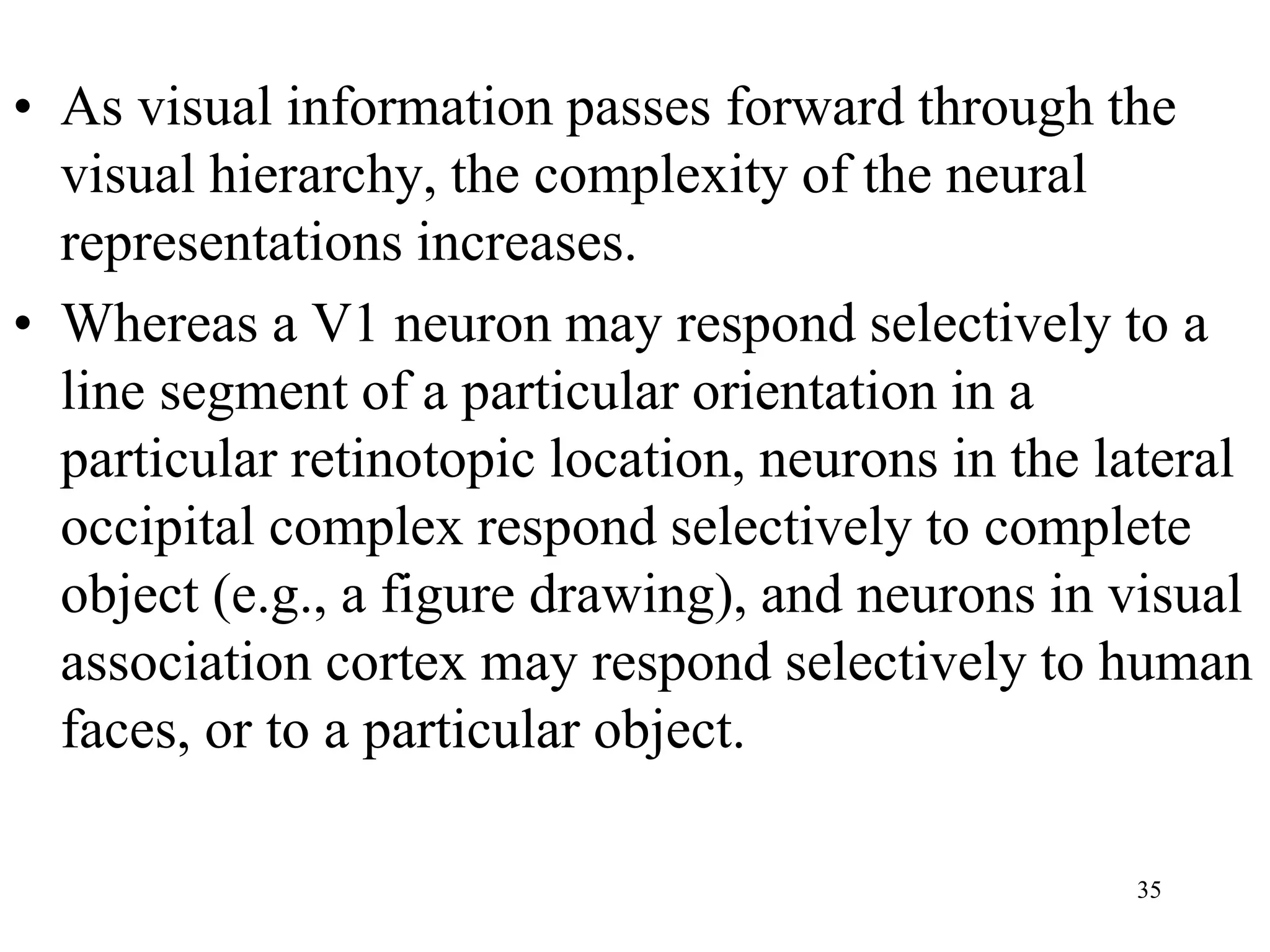 2. vision pathway 1 | PPT