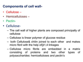 Cell wall By KK Sahu Sir | PPTX