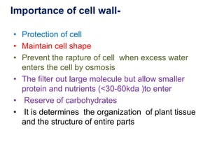 Cell wall By KK Sahu Sir | PPT