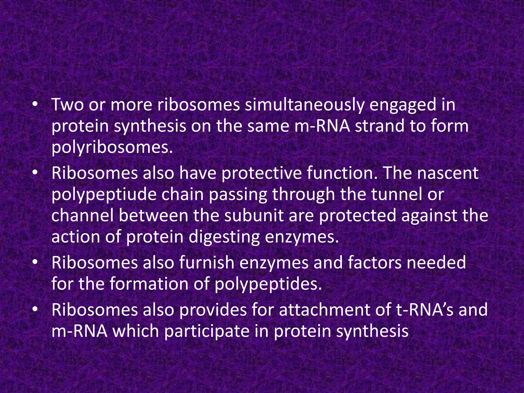 Functionasites of ribosomes By KK Sahu Sir | PPTX