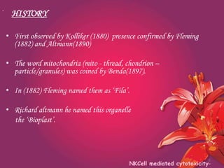 Mitochondria By KK Sahu Sir | PPT