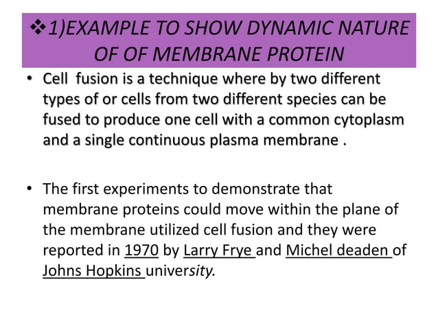 Plasma membrane dynamic structure By KK Sahu Sir | PPTX | Physics | Science