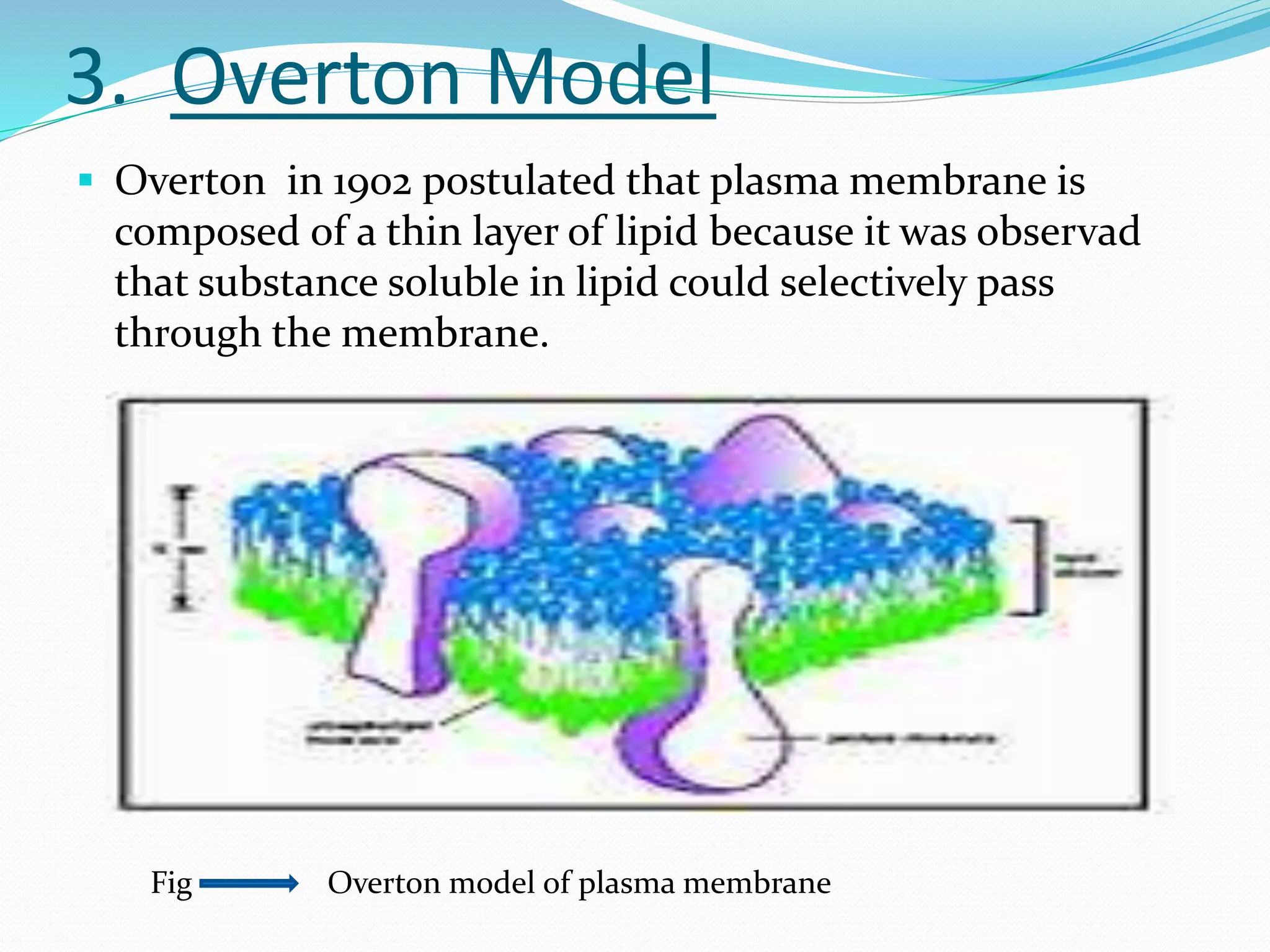 Plasma membrane By KK Sahu Sir | PPTX