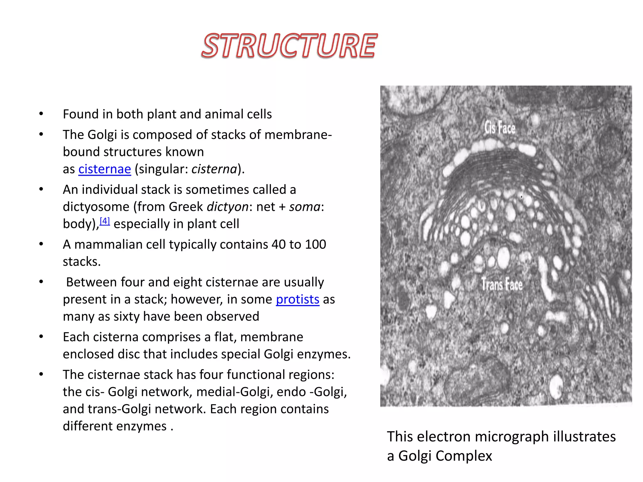 Function of golgi complex By KK Sahu Sir | PPT