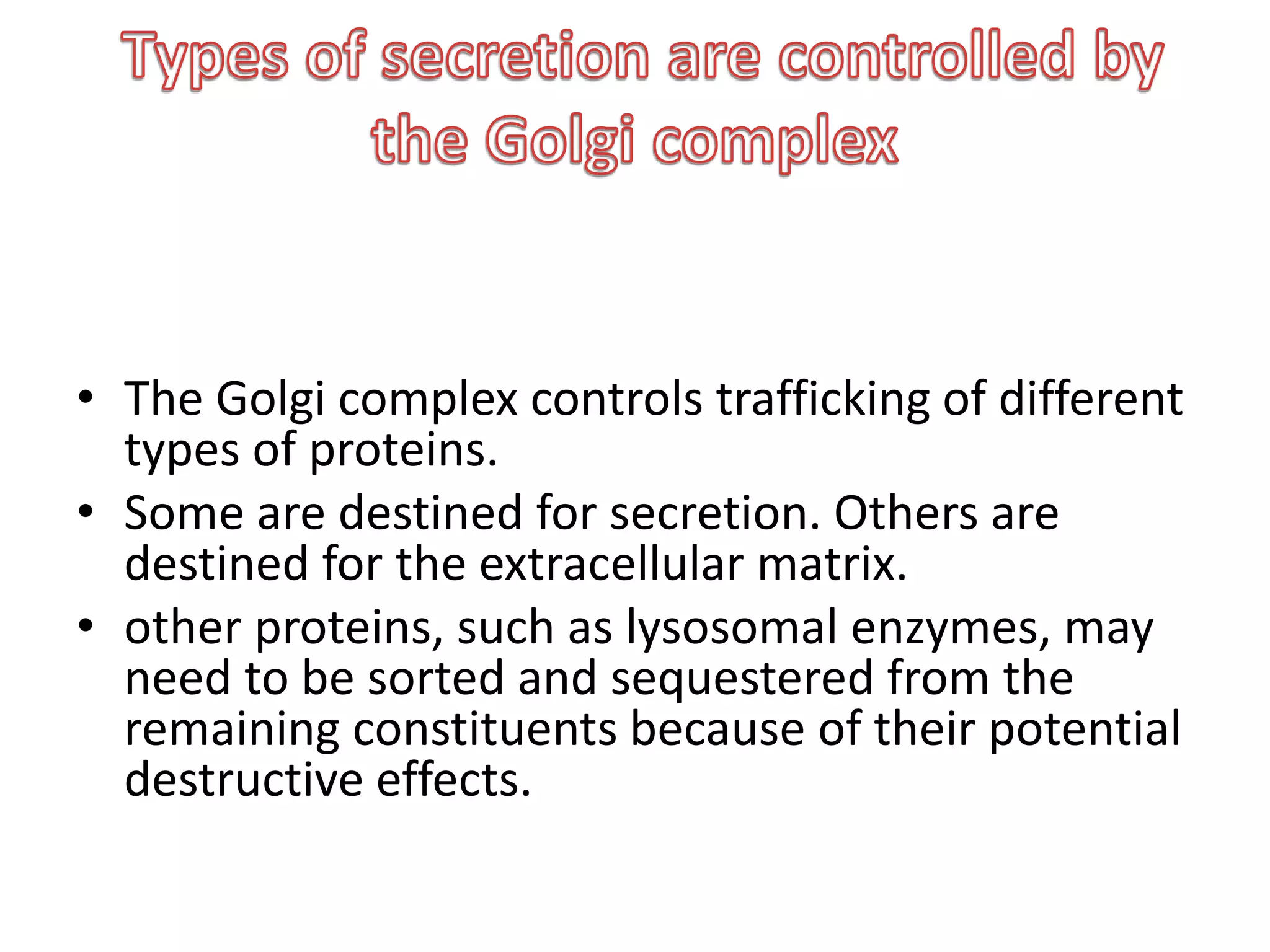 Function of golgi complex By KK Sahu Sir | PPT