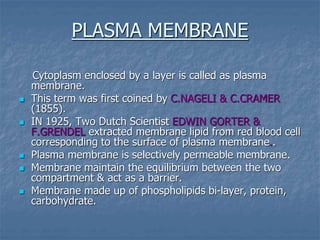Transport of small molecule across cell membrane By KK Sahu Sir | PPT ...