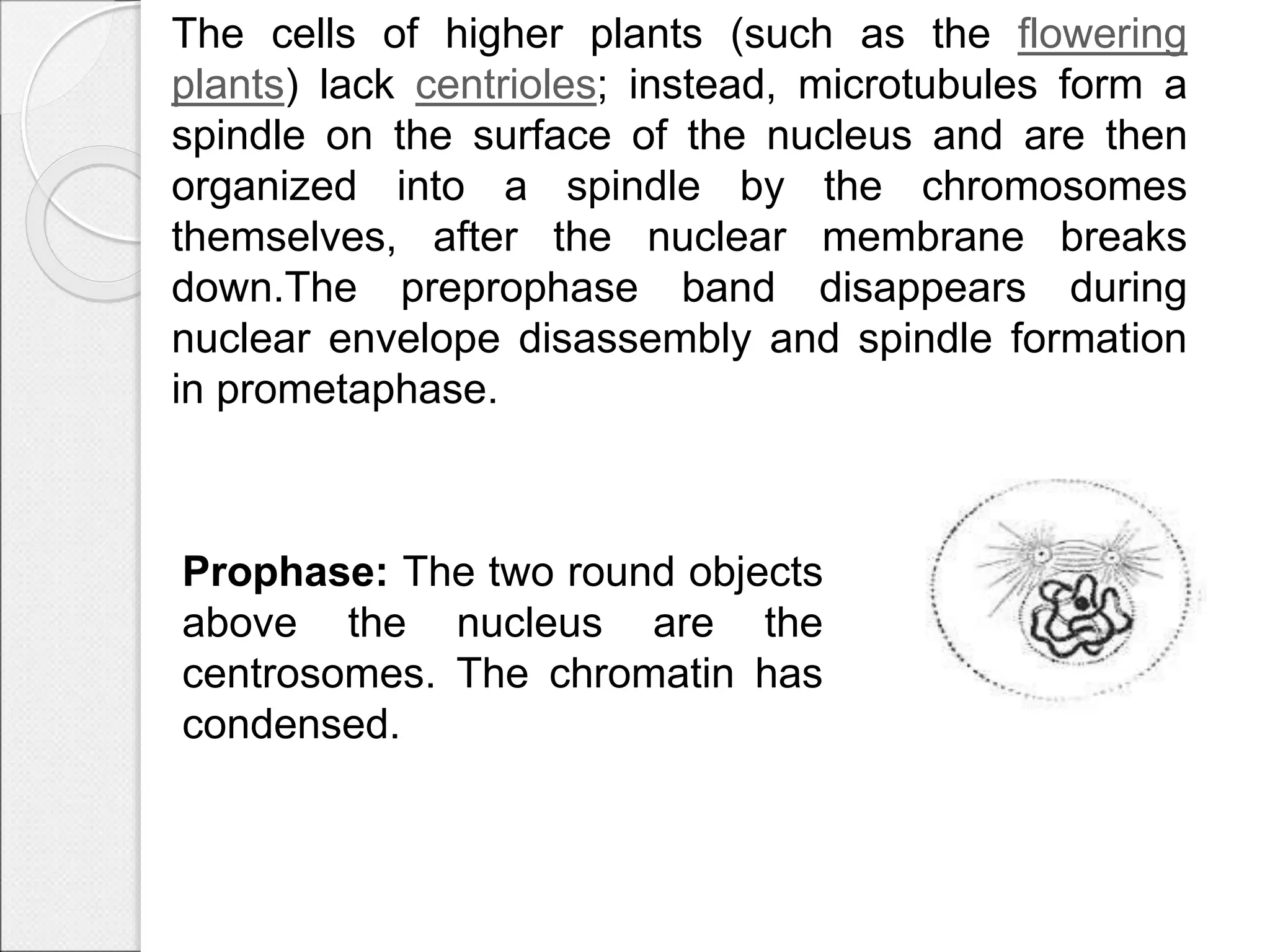 Abnormalities 0f mitotis By KK Sahu Sir | PPT