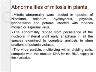 Abnormalities 0f mitotis By KK Sahu Sir | PPT