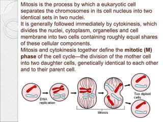 Abnormalities 0f mitotis By KK Sahu Sir | PPT