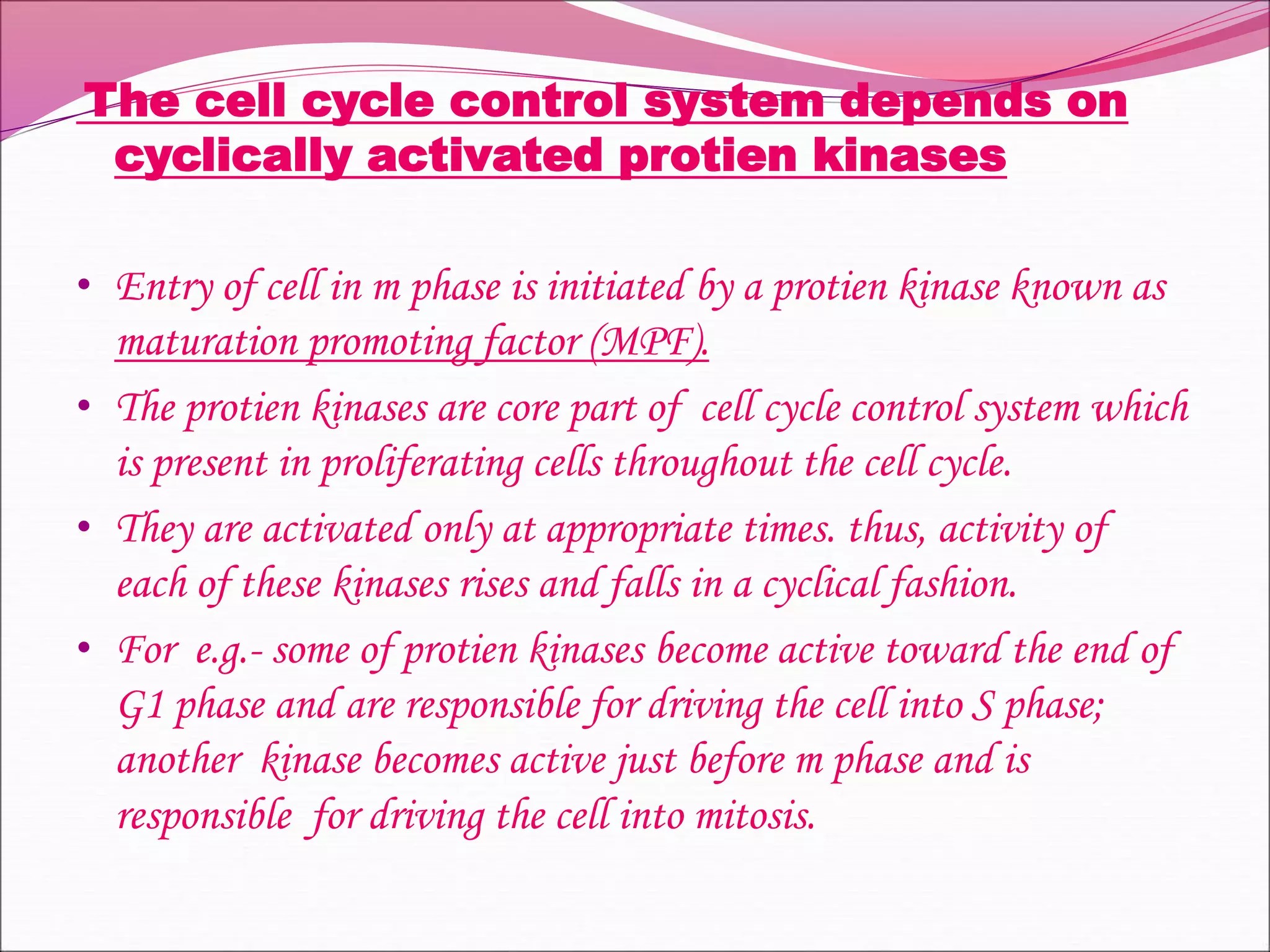 Cell cycle By KK Sahu Sir | PPT