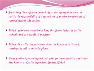 Cell cycle By KK Sahu Sir | PPT