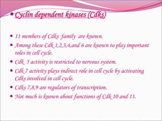 Cell cycle By KK Sahu Sir | PPT