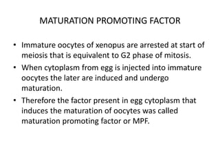 Molecular event during Cell cycle By KK Sahu Sir | PPTX