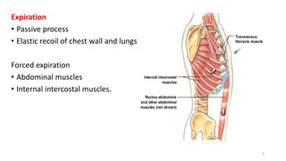 Mechanics of Respiration | PPSX