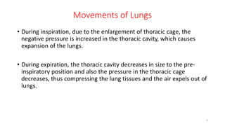 Mechanics of Respiration | PPSX