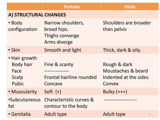 Puberty Menopause Pptx