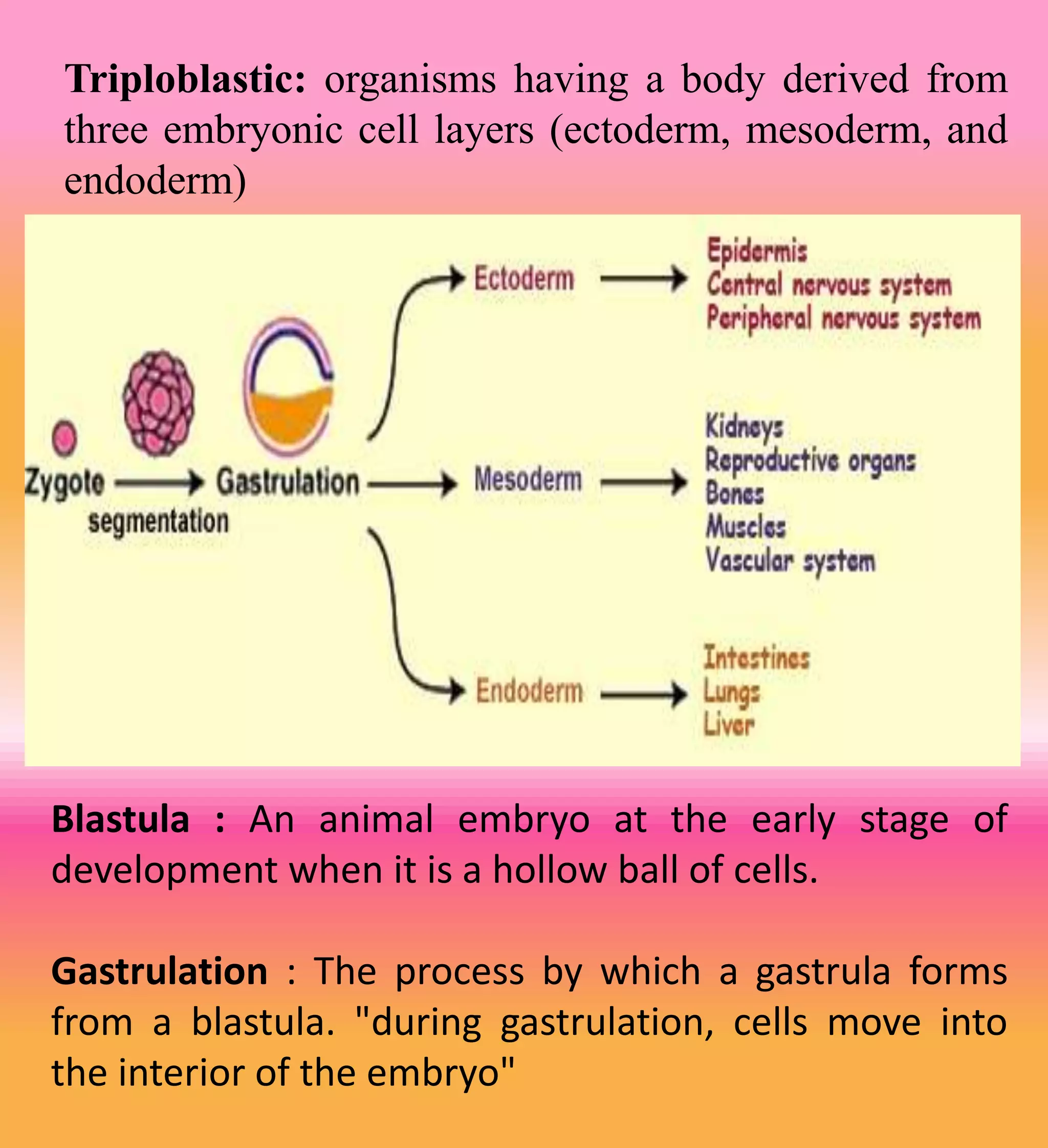 2. morphology, general characteristics and biology of plant pathogenic ...