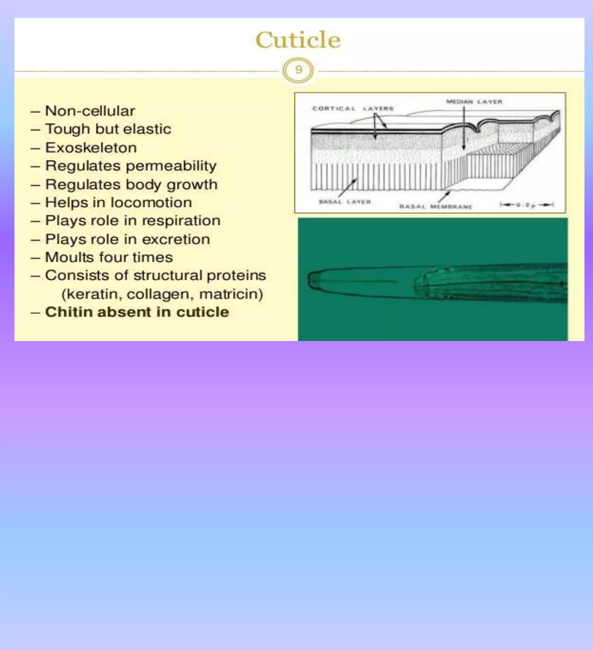 2. morphology, general characteristics and biology of plant pathogenic ...
