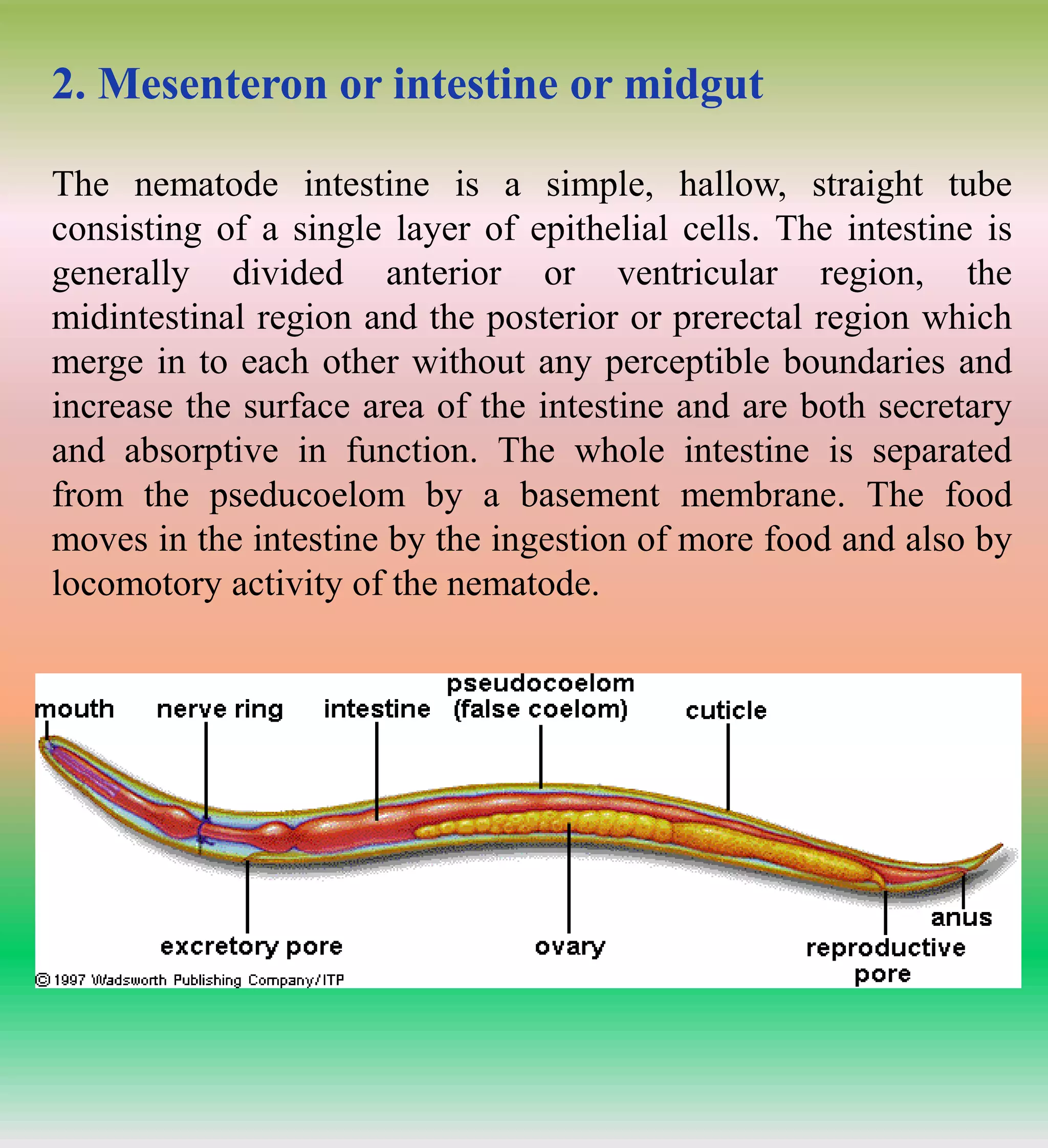 2. morphology, general characteristics and biology of plant pathogenic ...