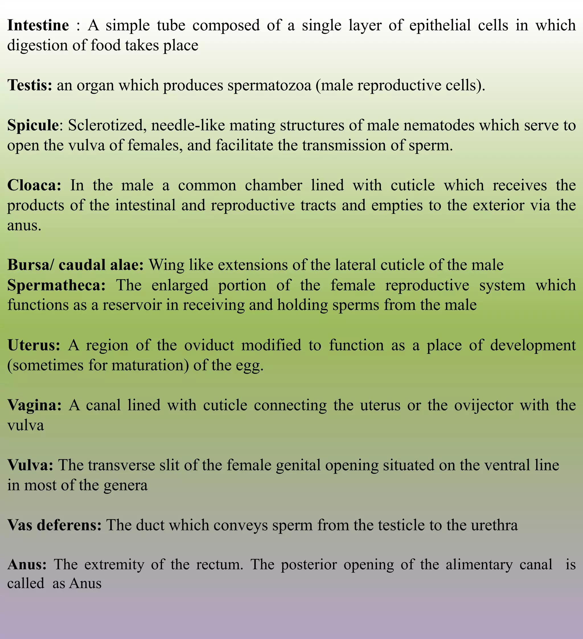 2. morphology, general characteristics and biology of plant pathogenic ...