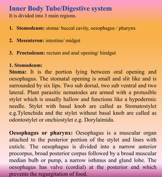 2. morphology, general characteristics and biology of plant pathogenic ...