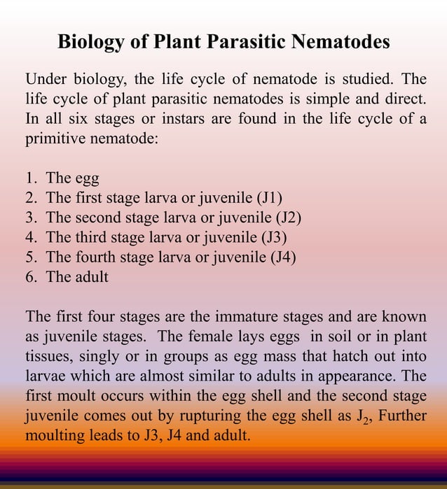2. morphology, general characteristics and biology of plant pathogenic nematodes | PPTX