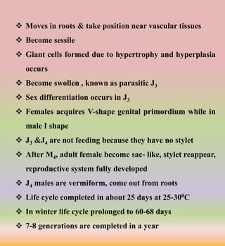 2. morphology, general characteristics and biology of plant pathogenic ...