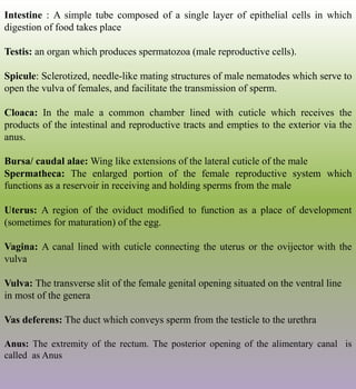 2. morphology, general characteristics and biology of plant pathogenic ...