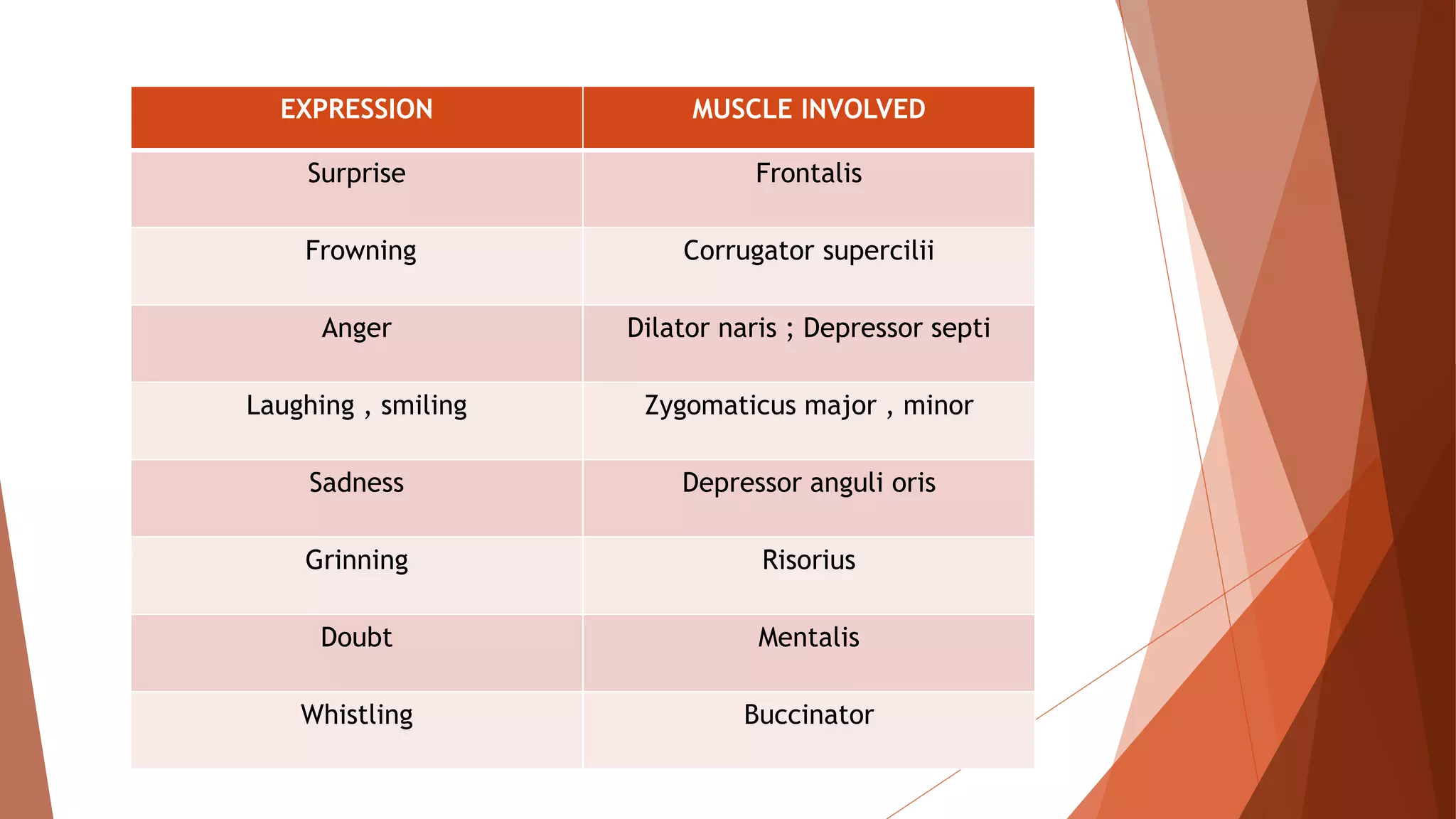 muscles of facial expression | PPTX