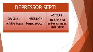 muscles of facial expression | PPTX