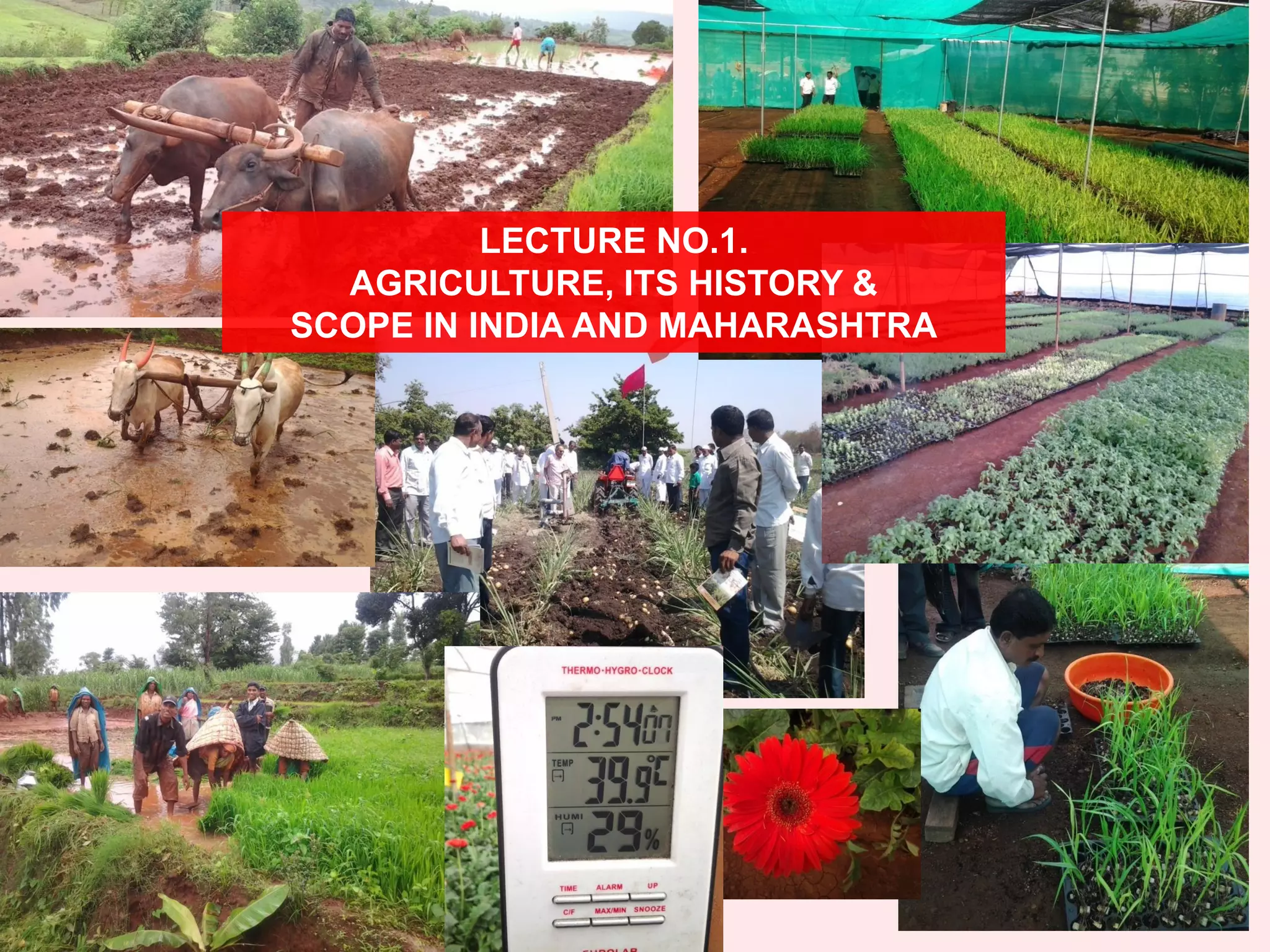 AGRICULTURE, ITS HISTORY & SCOPE IN INDIA AND MAHARASHTRA | PDF