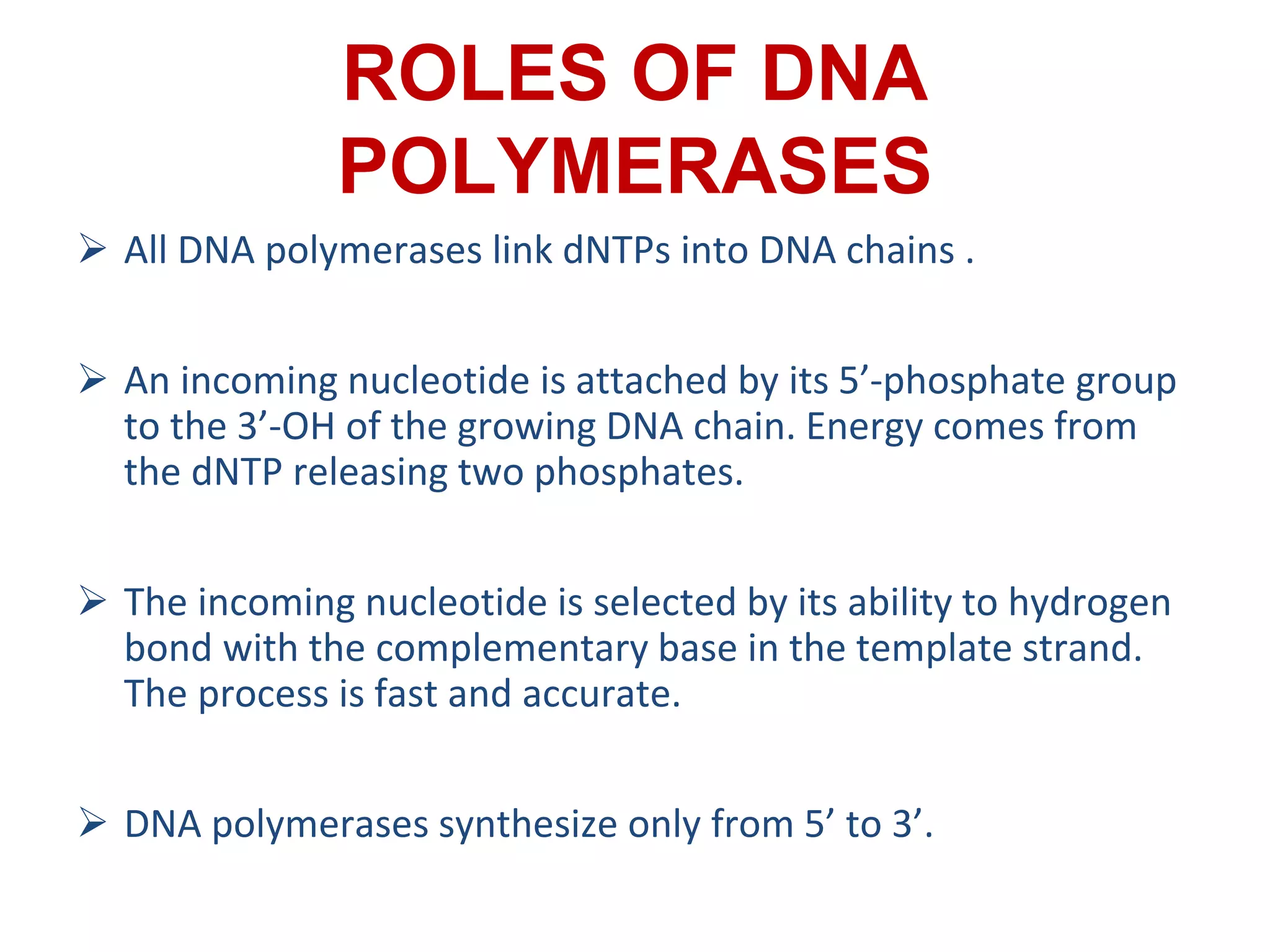 Enzyme involved in DNA replication | PPTX