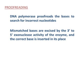 Enzyme involved in DNA replication | PPTX