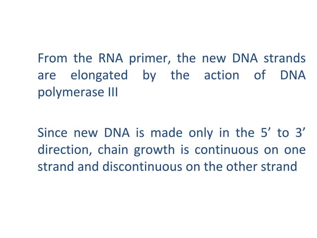 Enzyme involved in DNA replication | PPTX