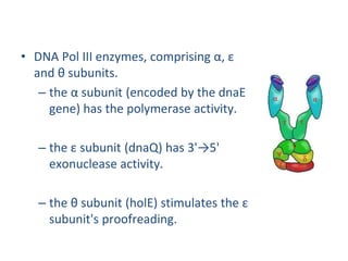 Enzyme involved in DNA replication | PPTX