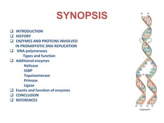 Enzyme involved in DNA replication | PPTX