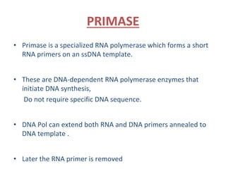 Enzyme involved in DNA replication | PPTX
