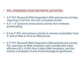Enzyme involved in DNA replication | PPTX