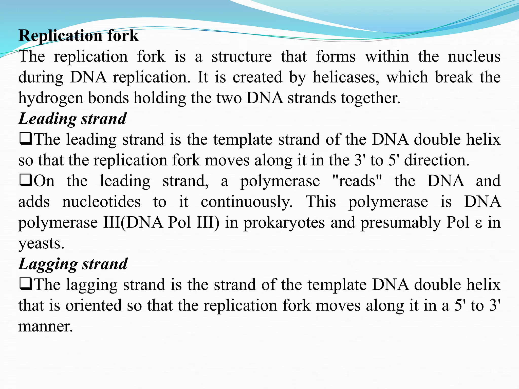 Eukaryotic DNA replication by kk sahu | PPT