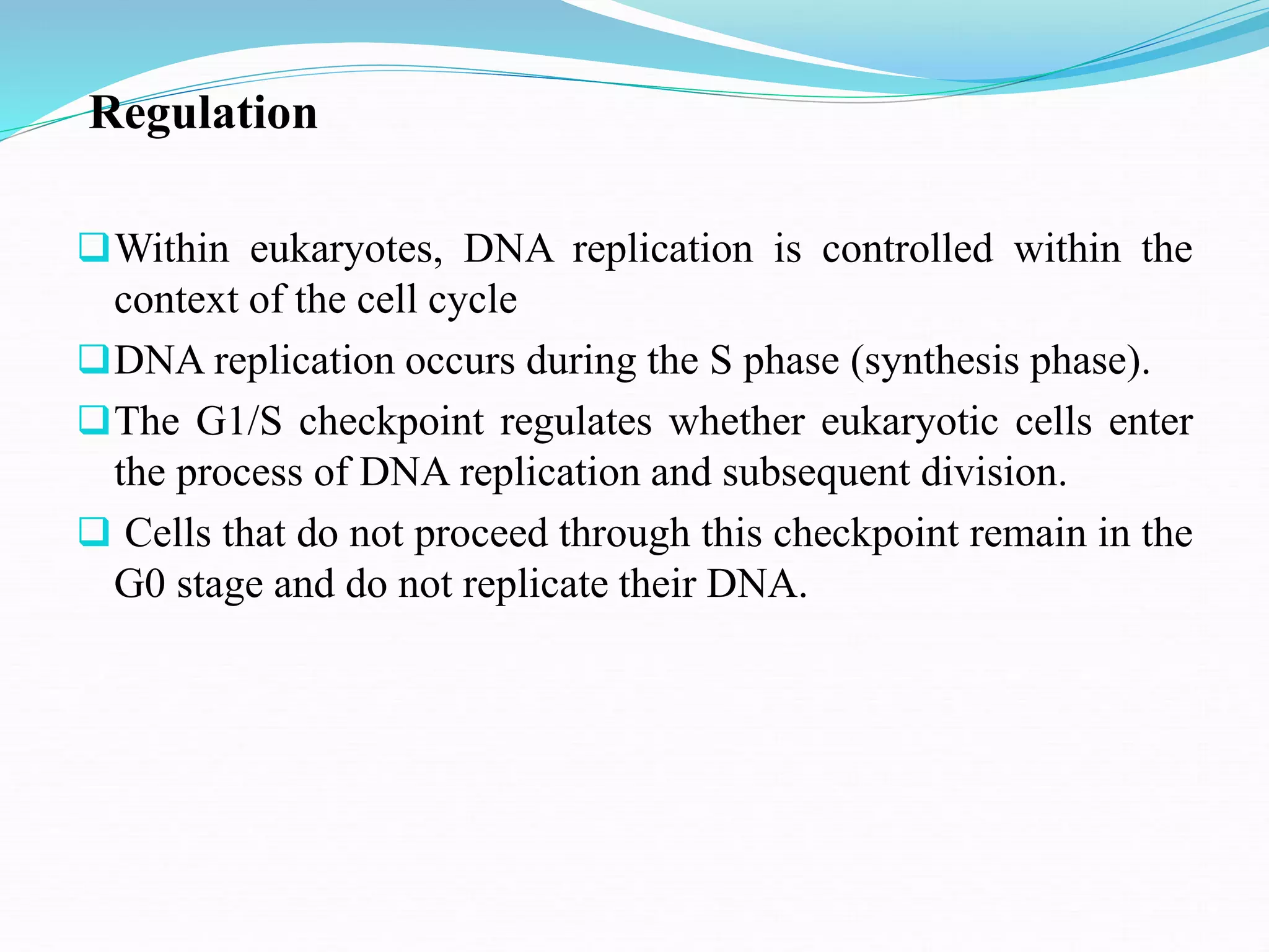 Eukaryotic DNA replication by kk sahu | PPT