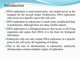 Eukaryotic DNA replication by kk sahu | PPT