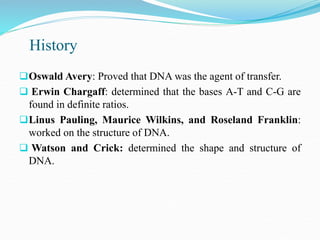 Eukaryotic DNA replication by kk sahu | PPT