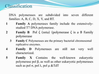 Eukaryotic DNA replication by kk sahu | PPT