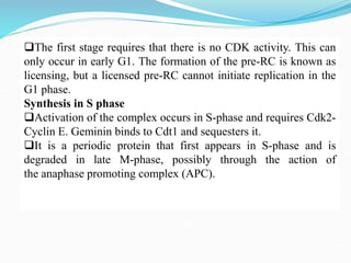 Eukaryotic DNA replication by kk sahu | PPT