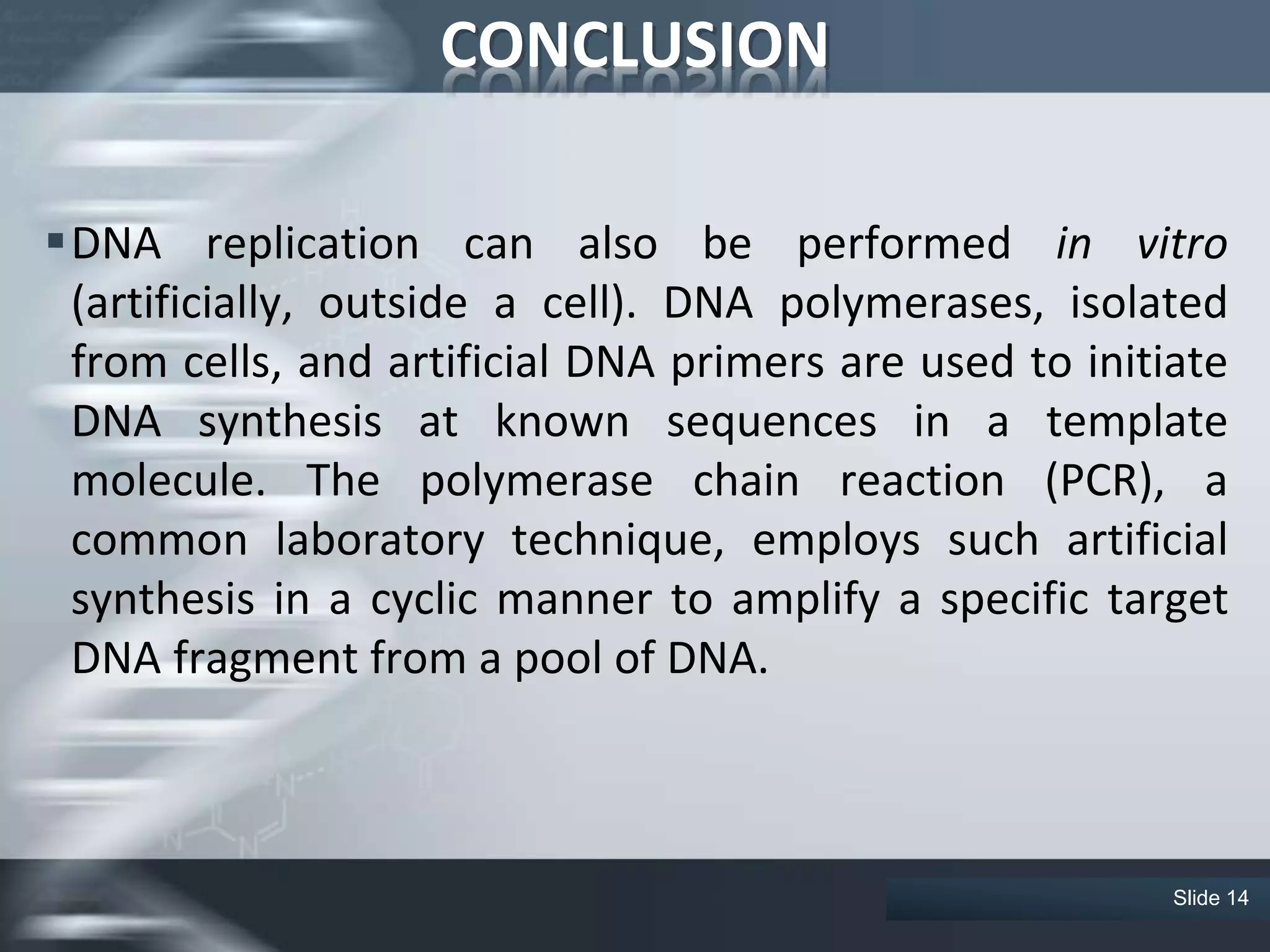 Prokaryotic dna replication by kk sahu | PPT | Chemistry | Science