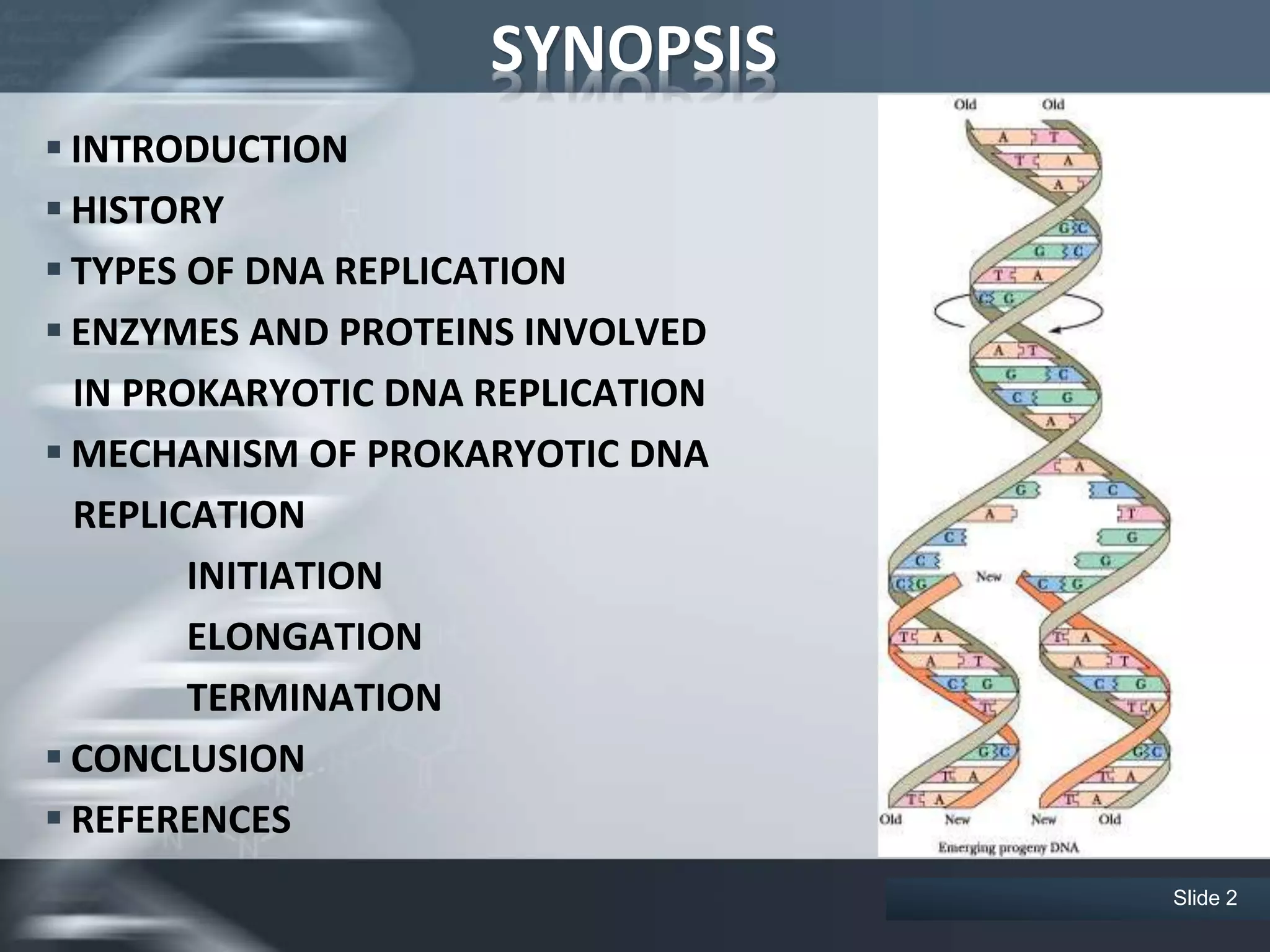 Prokaryotic dna replication by kk sahu | PPT | Chemistry | Science