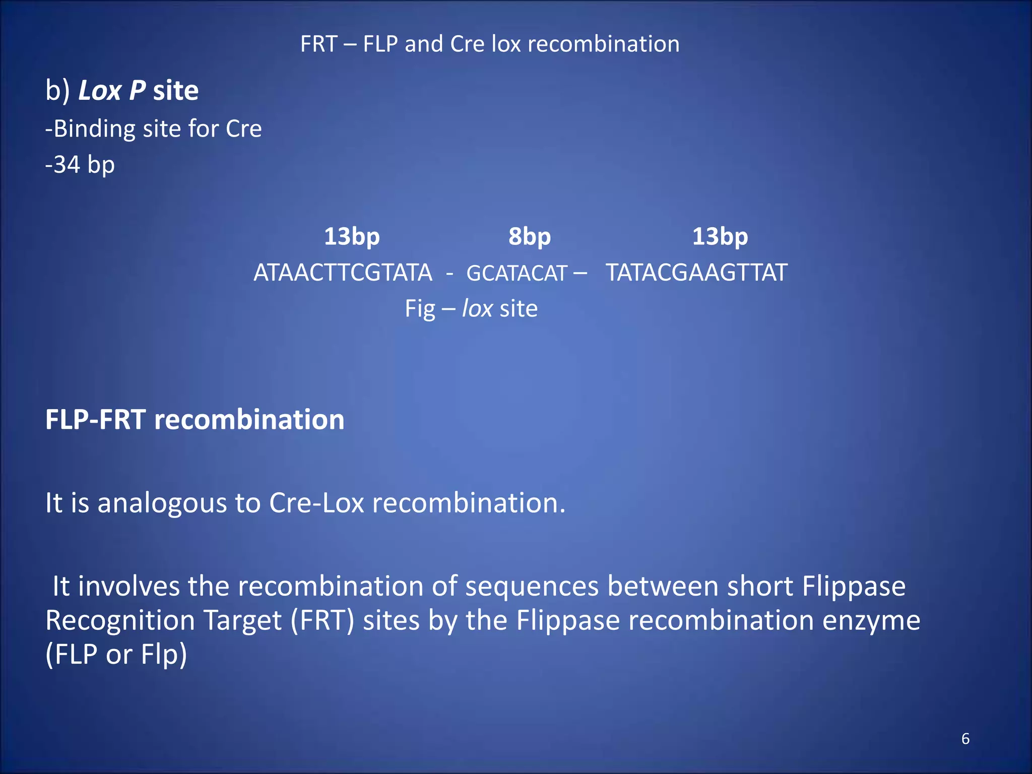 Recombinase Cre Lox And Flp Frt Ppt