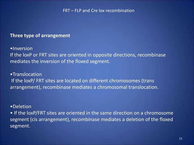 Recombinase Cre Lox And Flp Frt Ppt Chemistry Science