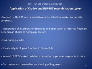 Recombinase cre lox and flp-frt | PPT